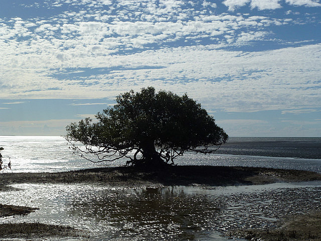 Still in wonderful 40 Mile Beach in the Pilbara WA