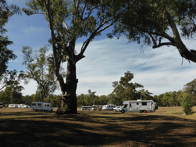 Fantastic Wilks Park Wagga Wagga Free Camp NSW