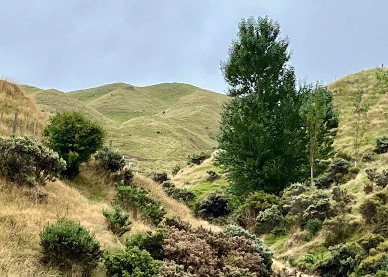 Battle Hill Farm Park