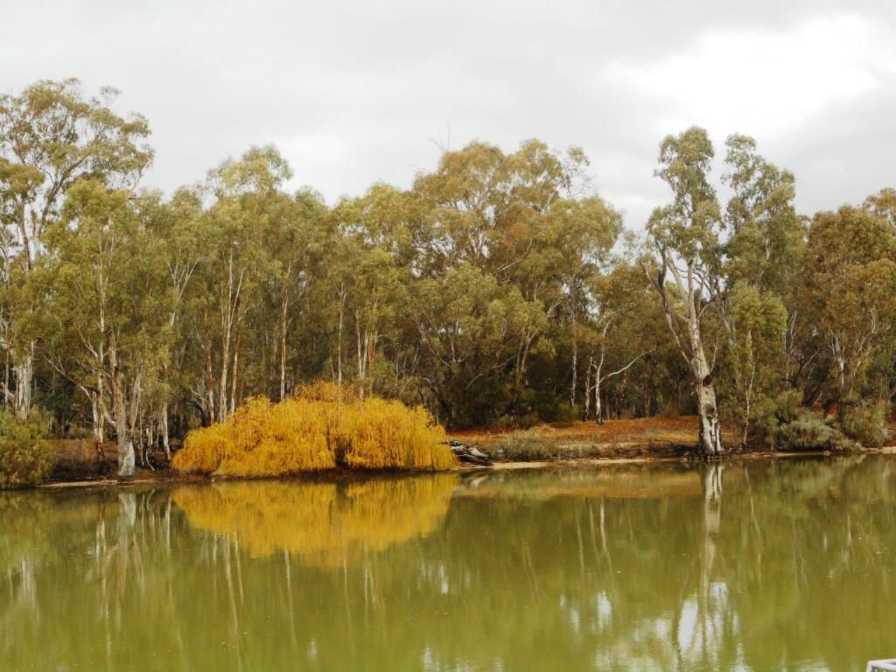 Mildura Market & Euston