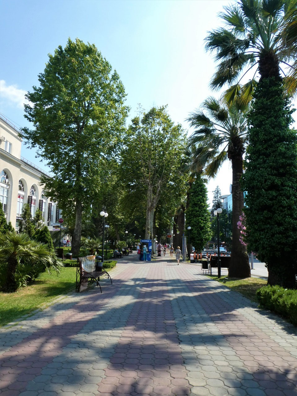 Krasnodar Krai: Simply Sochi