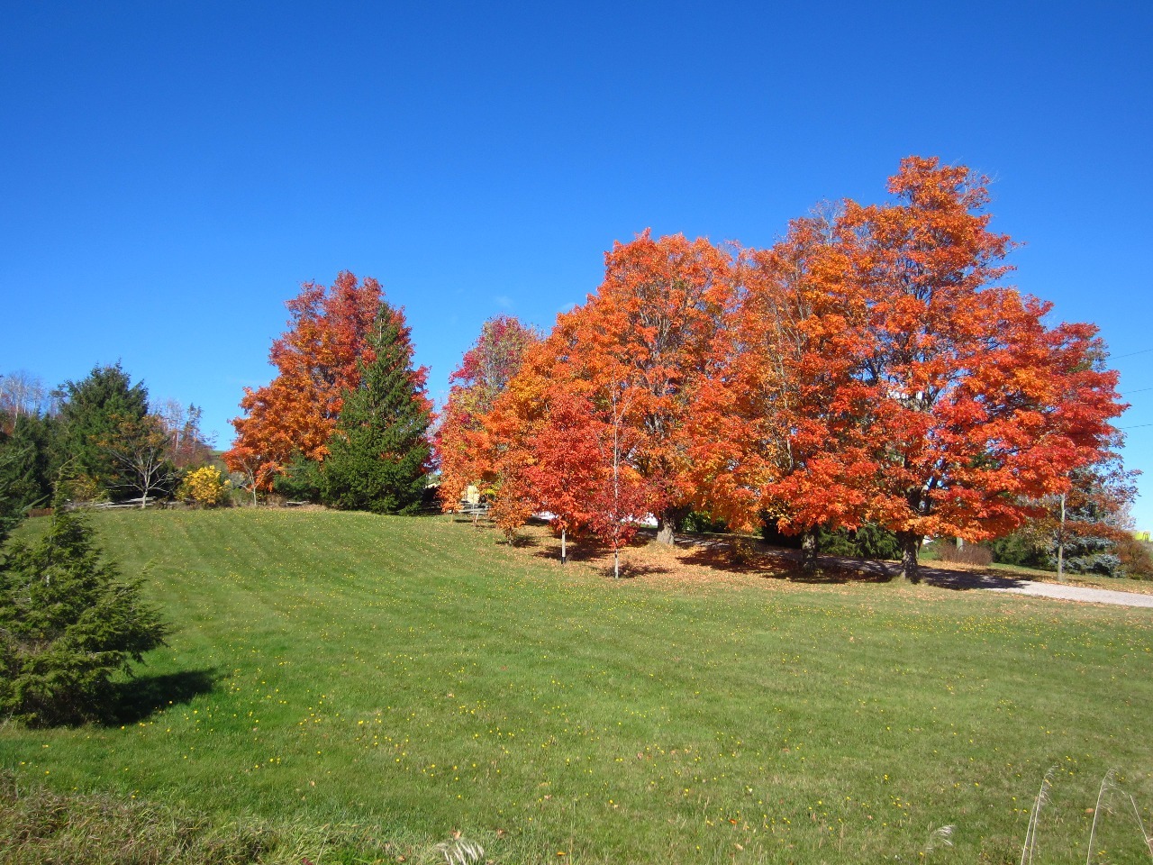 Nova Scotia Westward through New Brunswick
