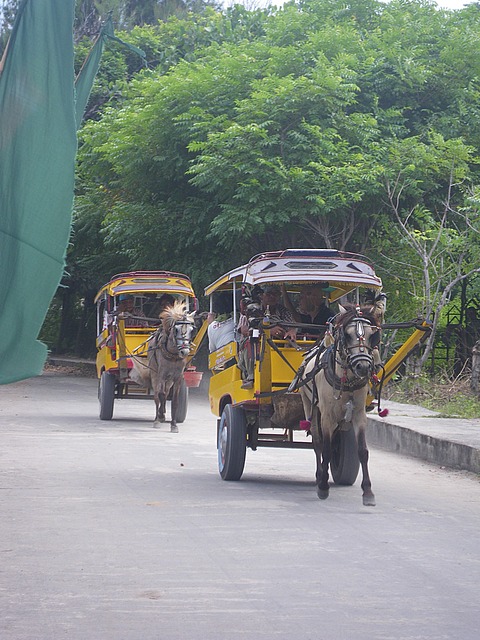 Returning to Paradise on the Gilli Islands, Lombok