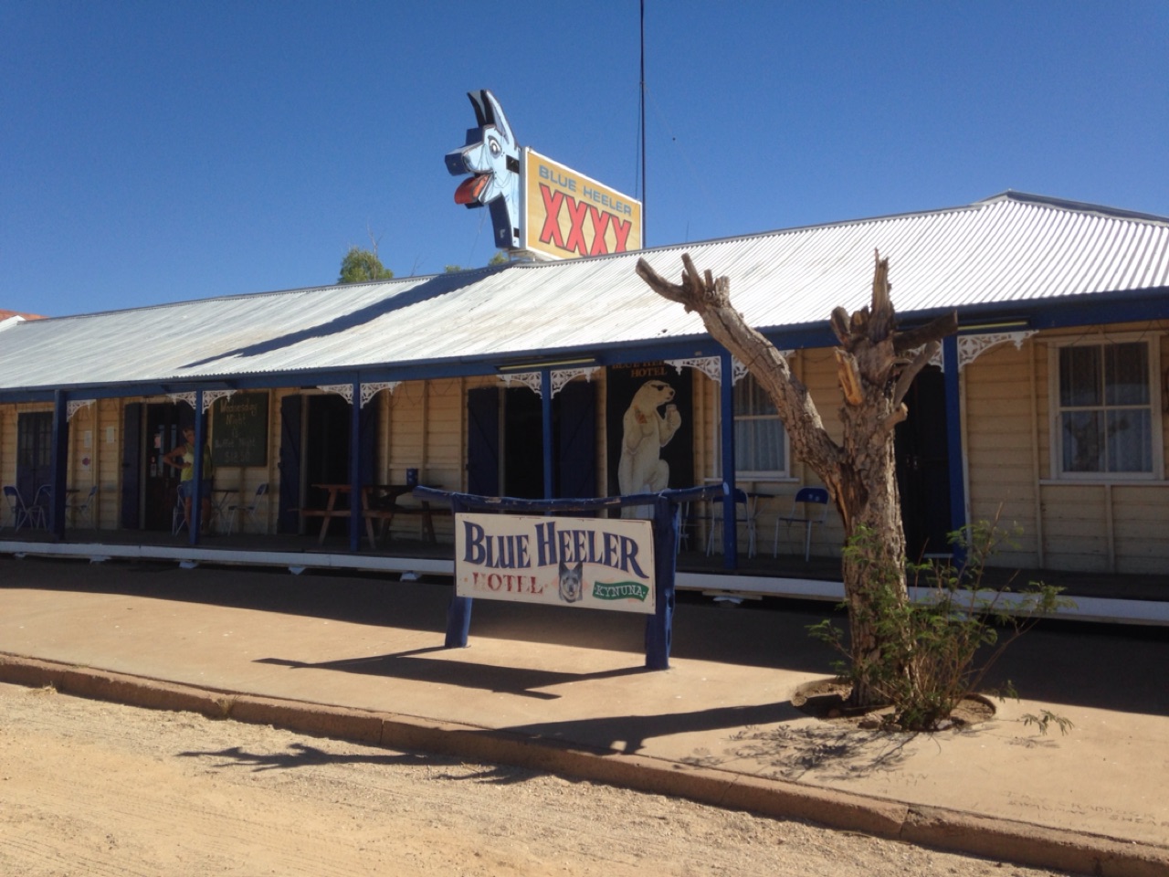 Serendipity at Julia Creek