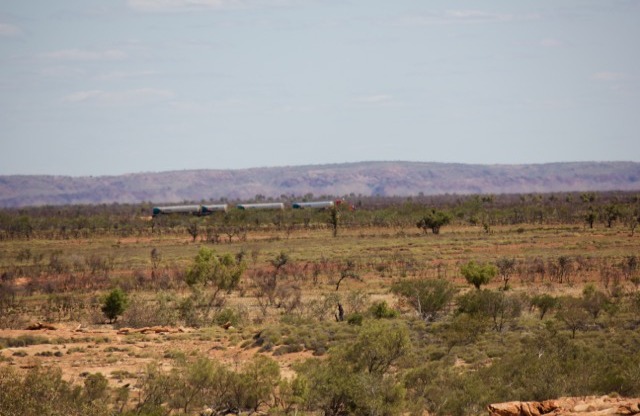 Indee Cattle Station