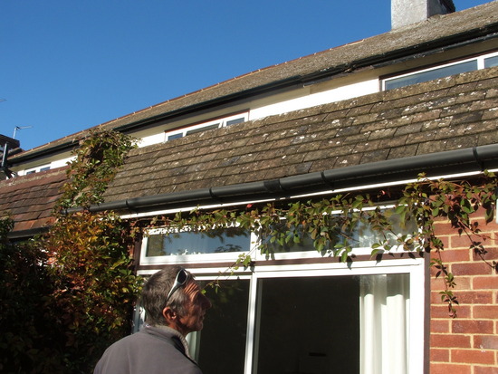 Singapore Girl, you're a great way to fly...