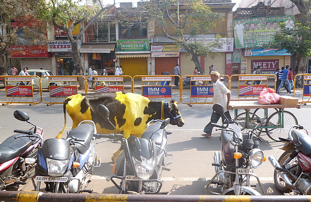 A little bit 'meh' in Mysore