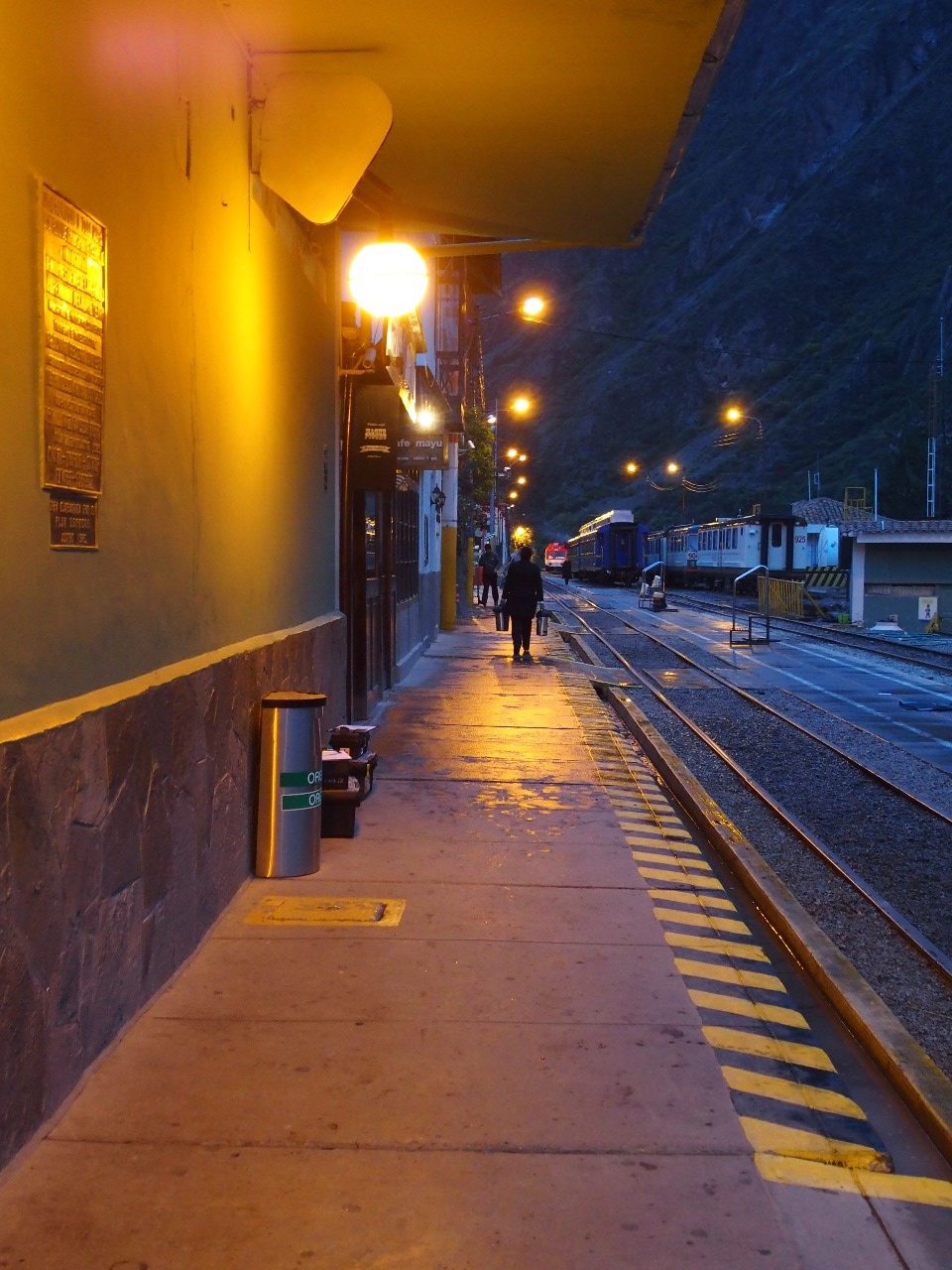 Train ride to Aguas Calientes