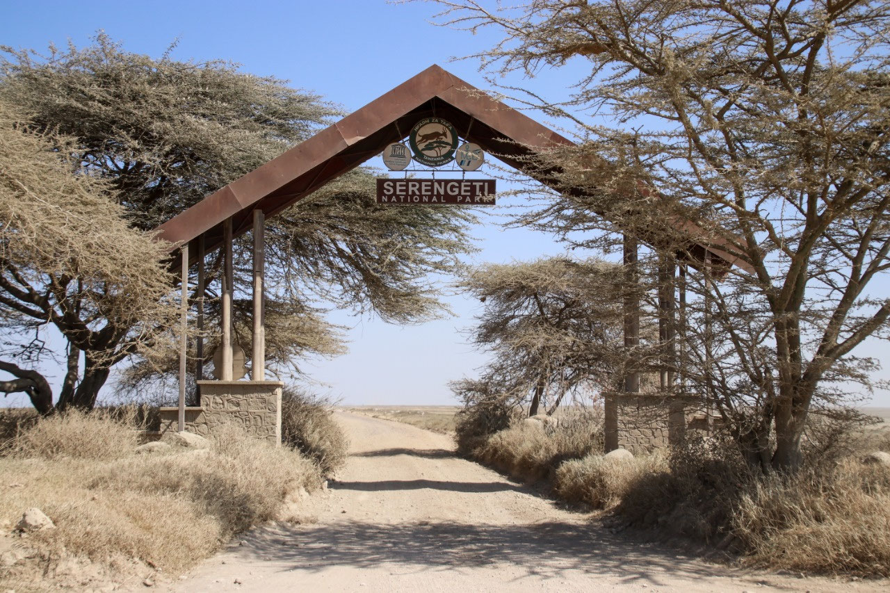 Central Serengeti - Wednesday