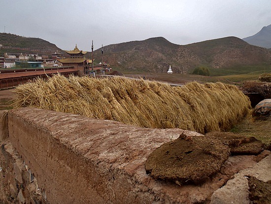 Ganjai Grasslands