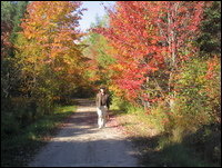 NEW ENGLAND & QUEBEC. The Glorious Fall Foliage season of Autumn 2004