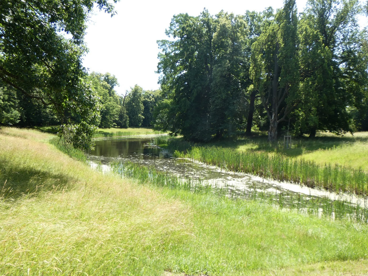 The Dessau-Worlitz Garden Realm