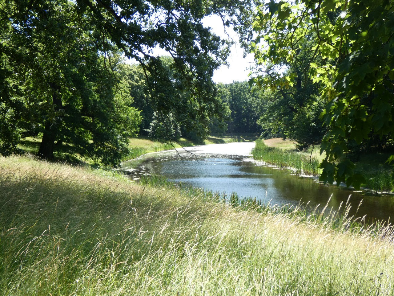 The Dessau-Worlitz Garden Realm