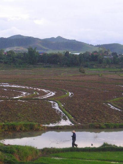 Lush and lovely, laid-back Laos